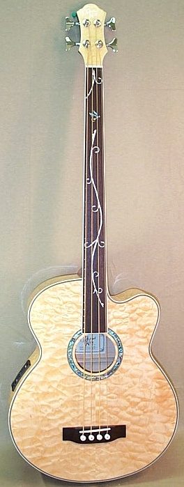 Michael Kelly Firefly 4 Fretless Acoustic-Electric Bass | zZounds