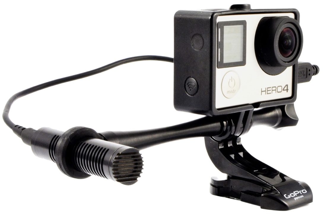 MicW iGoMic Mini Shotgun Microphone | zZounds