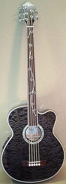 Michael Kelly Firefly 5 5-String Fretless Acoustic-Electric Bass