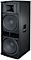 Electro-Voice ELX215 Live X 2-Way Loudspeaker (2400 Watts, 2x15")