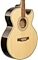 Epiphone PR5-E Acoustic-Electric Guitar | zZounds