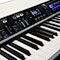 Korg Grandstage X Digital Stage Piano | zZounds