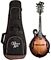 Michael Kelly Legacy Dragonfly Acoustic-Electric Mandolin