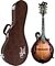 Michael Kelly Legacy Dragonfly Acoustic-Electric Mandolin